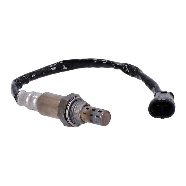 Sonda Lambda Para Harley-Davidson 18 mm O2 Sensor 27719-07 – California ...