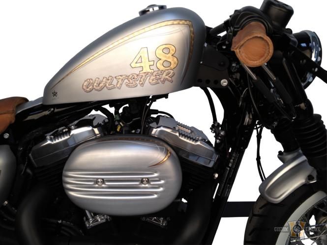 Harley 48 Custom Paint